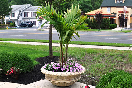 China Flower Pot Supplier